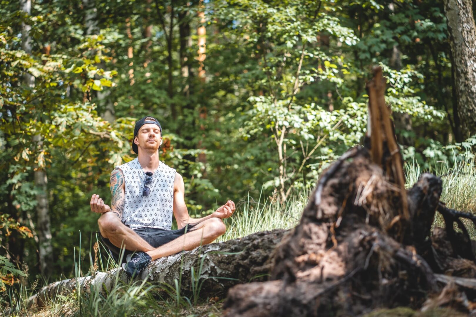 Rejuvenate Your Mental Health Using Nature s Four Elements Rejuvenate Your Mental Health Using Nature s Four Elements